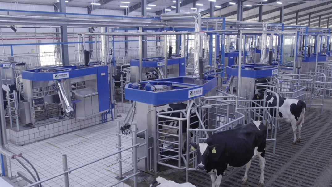 Youran Dairy Official