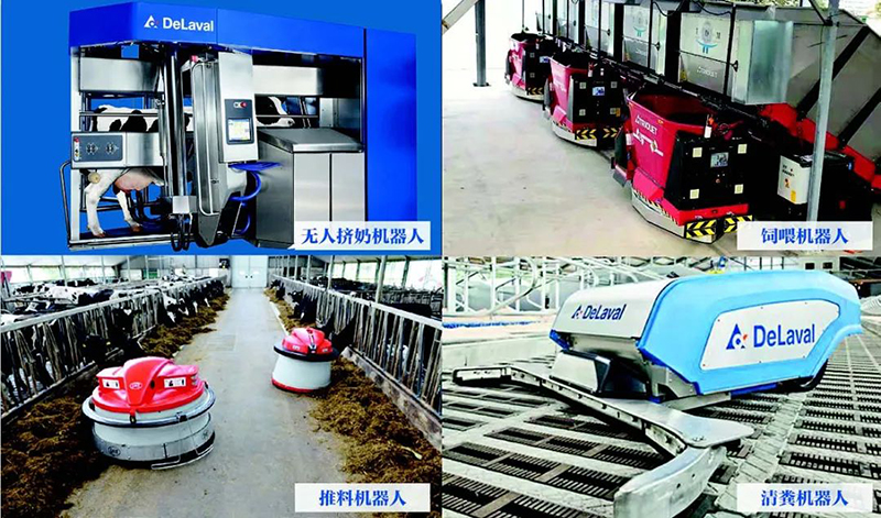 Youran Dairy Official